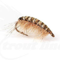 Pro Gammarus Nymph Shell Small