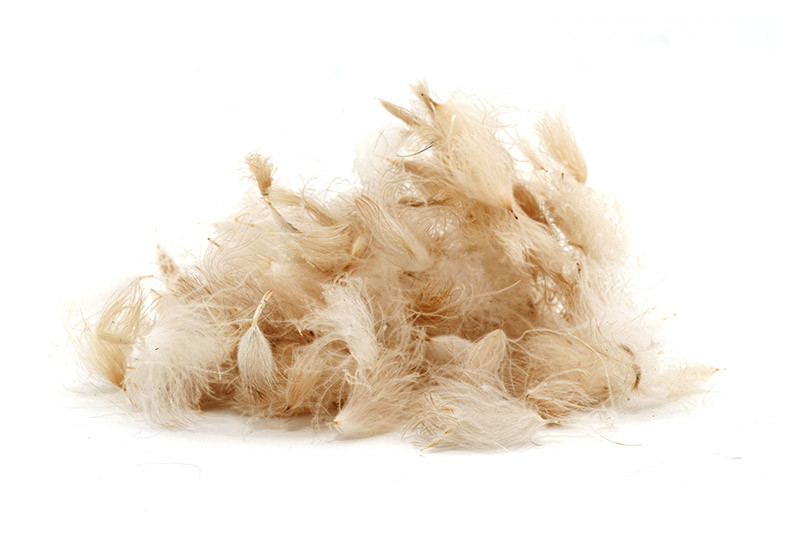 Troutline Premium CDC Oiler Puffs