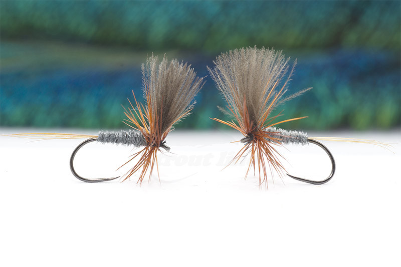 trout fry fly patterns