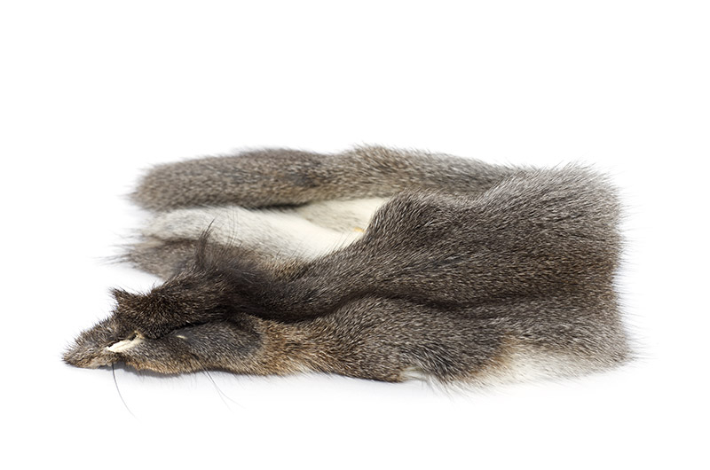 Troutline Tanned Grey Squirrel Skins-natural