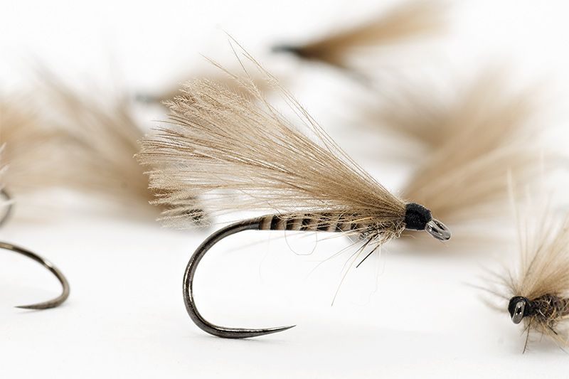 Troutline Tactical Peacock Quill BL Sedge
