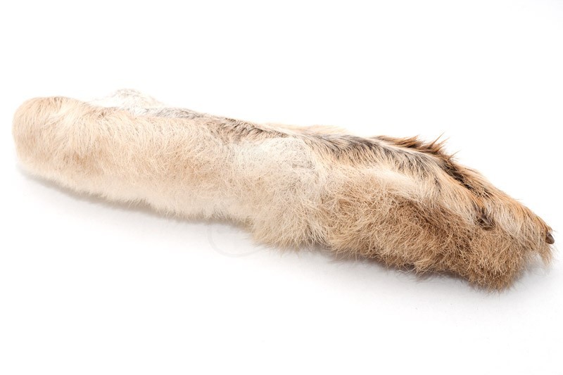 Transylvanian Snowshoe Hare Feet
