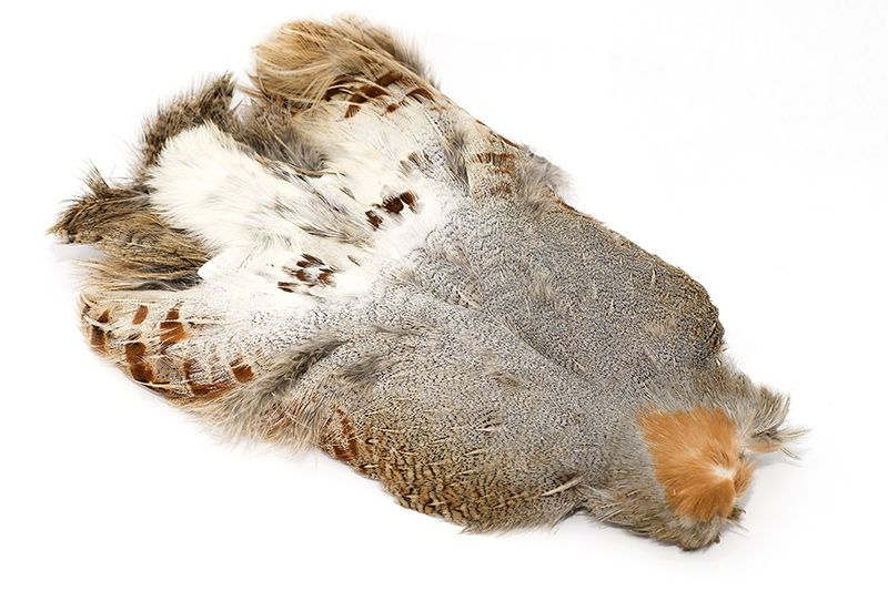 Premium Partridge Skins without Wings and Tail