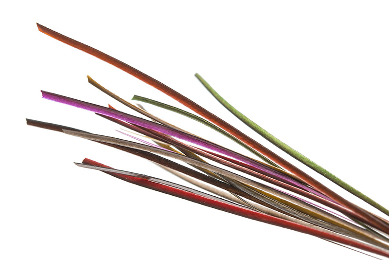 Troutline Hand Selected Stripped Peacock Quill