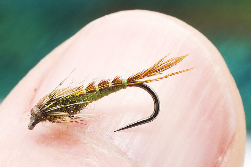 Troutline Micro Special Olive Swimming Nymph