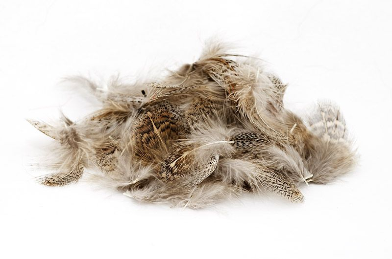 Veniard English Partridge Grey Neck 1grams -natural